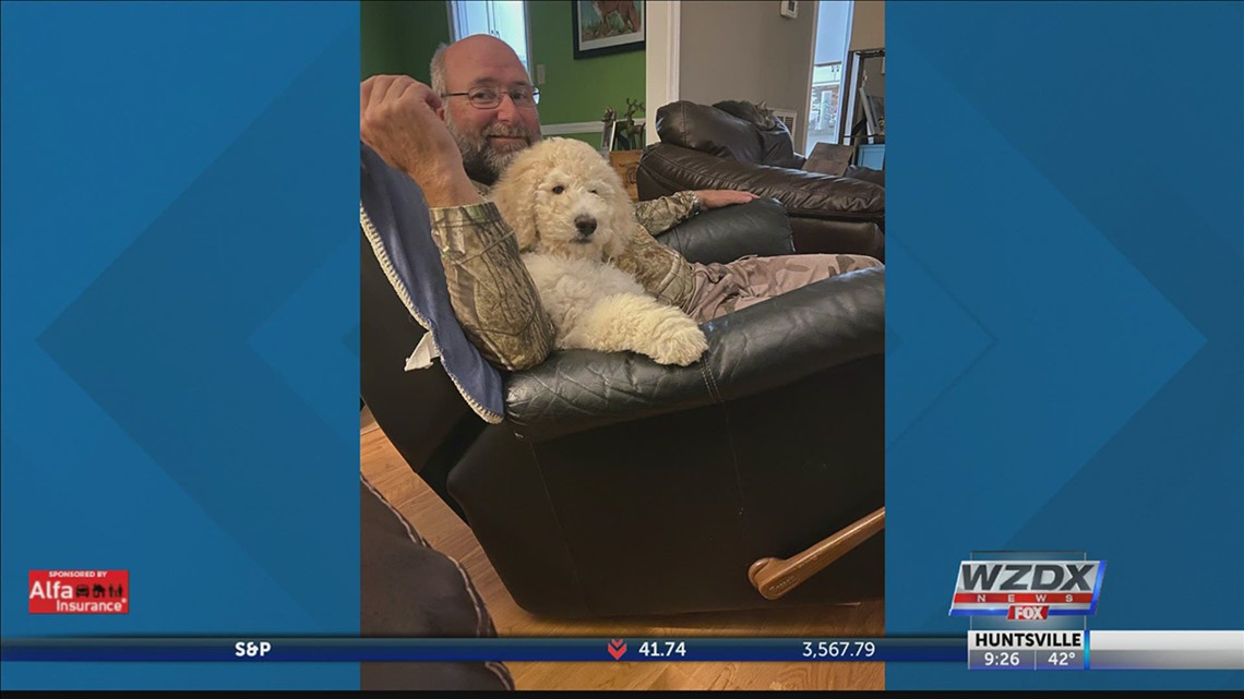 Watch | WZDX Live and On-Demand Videos | Huntsville, Alabama ...