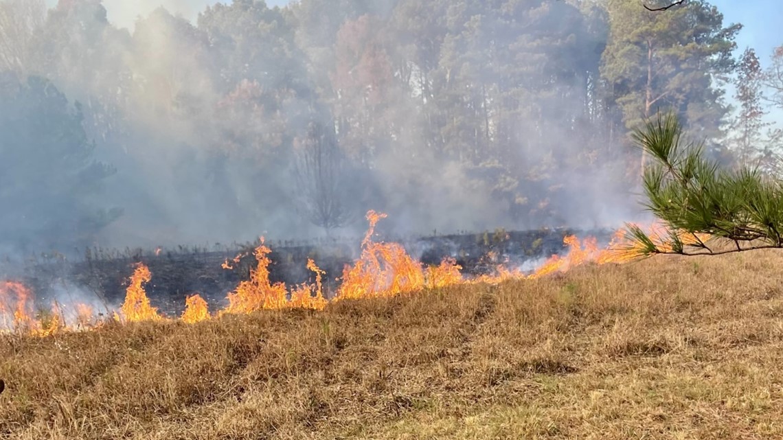 Crews contain large grass fire off I-65 in Athens | rocketcitynow.com