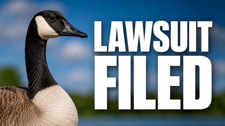 Lawsuit seeks to halt goose culling at Madison’s Heritage Plantation ...