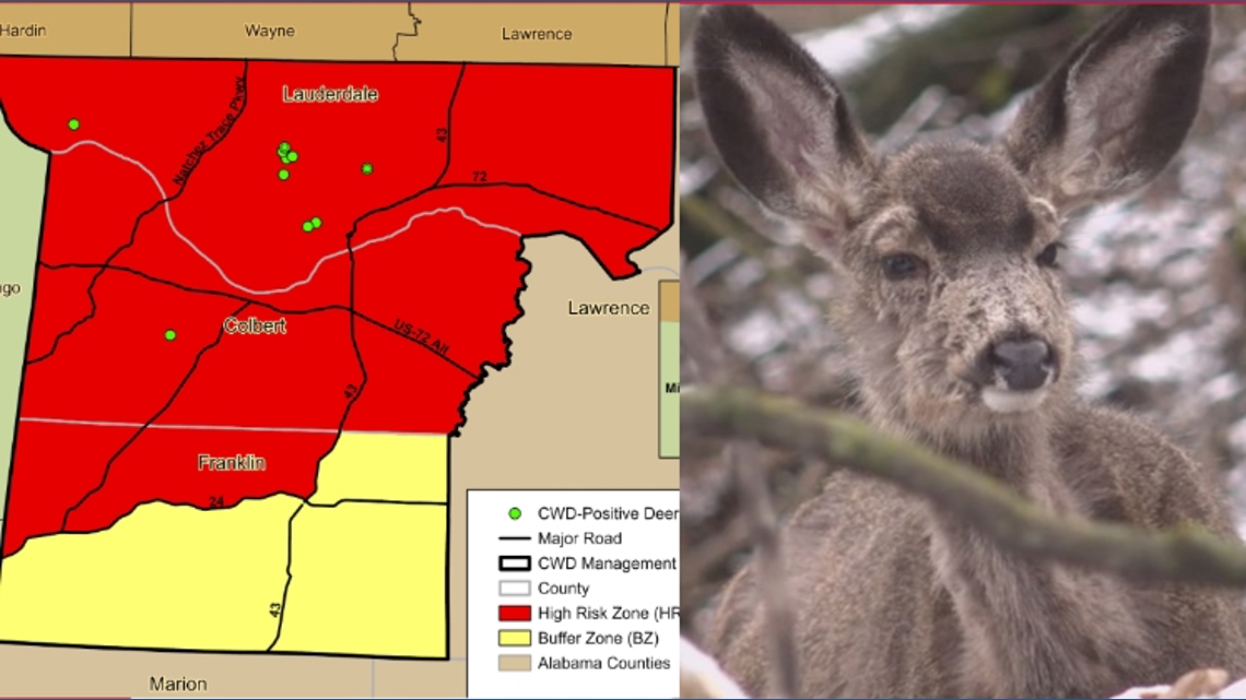 Alabama mandates CWD testing for deer hunters in high-risk zones 2025 ...