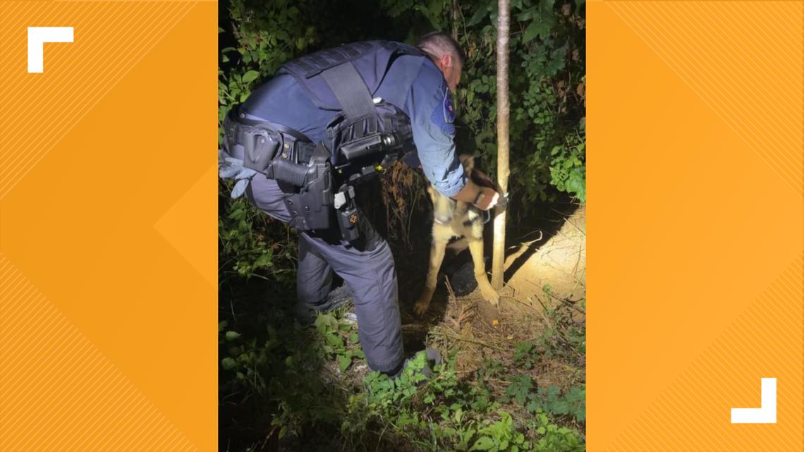Police rescue abandoned dog in Madison County | rocketcitynow.com