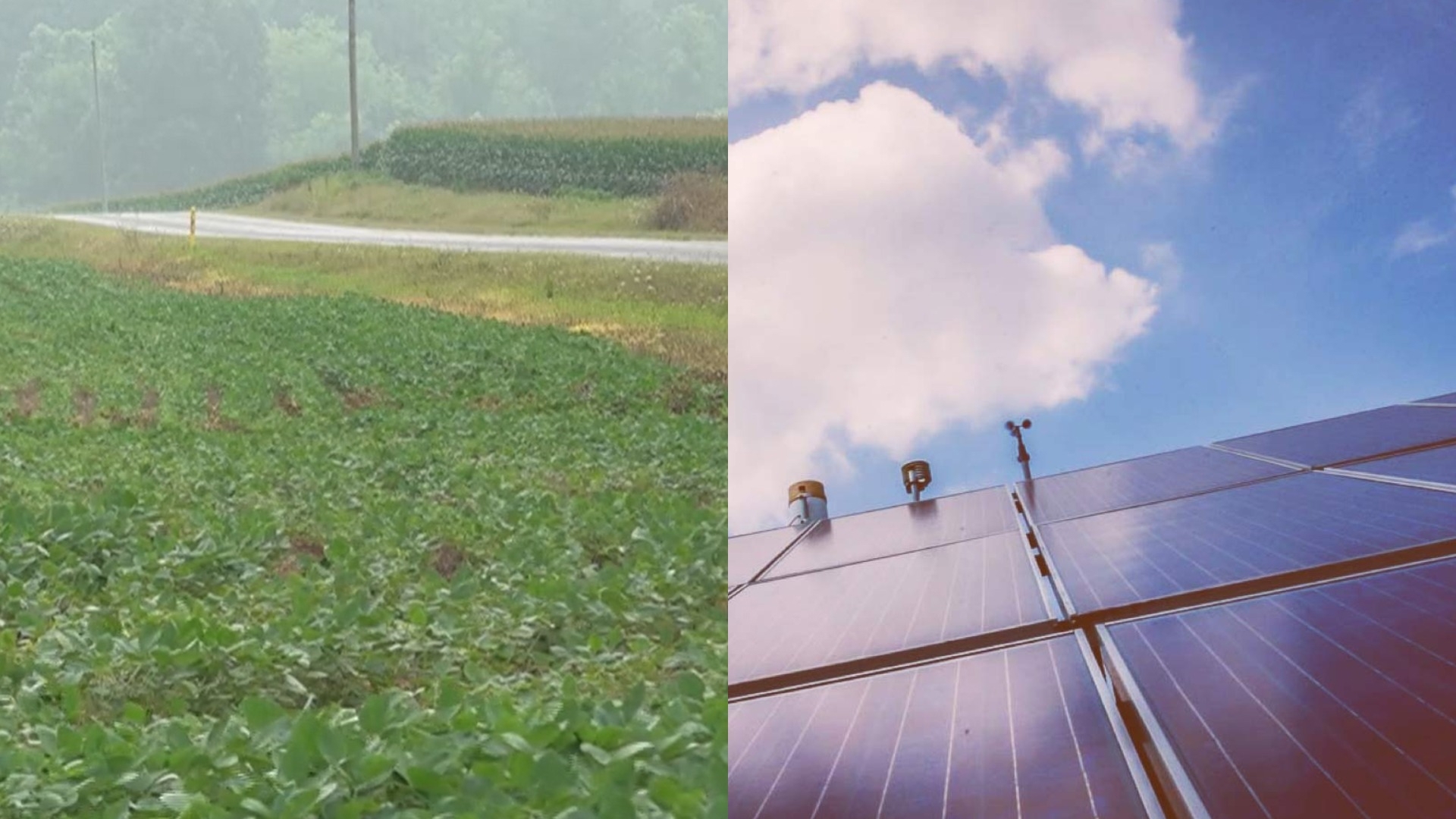 Ranae Bartlett announces run for Madison Mayor in 2025 | rocketcitynow.com