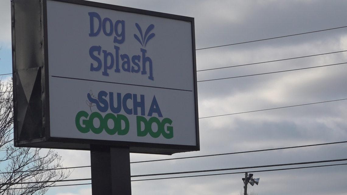 Local business facing closure after owner sees no profits ...