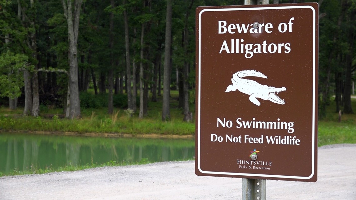 Gator warning: City of Huntsville puts signs in neighborhoods ...