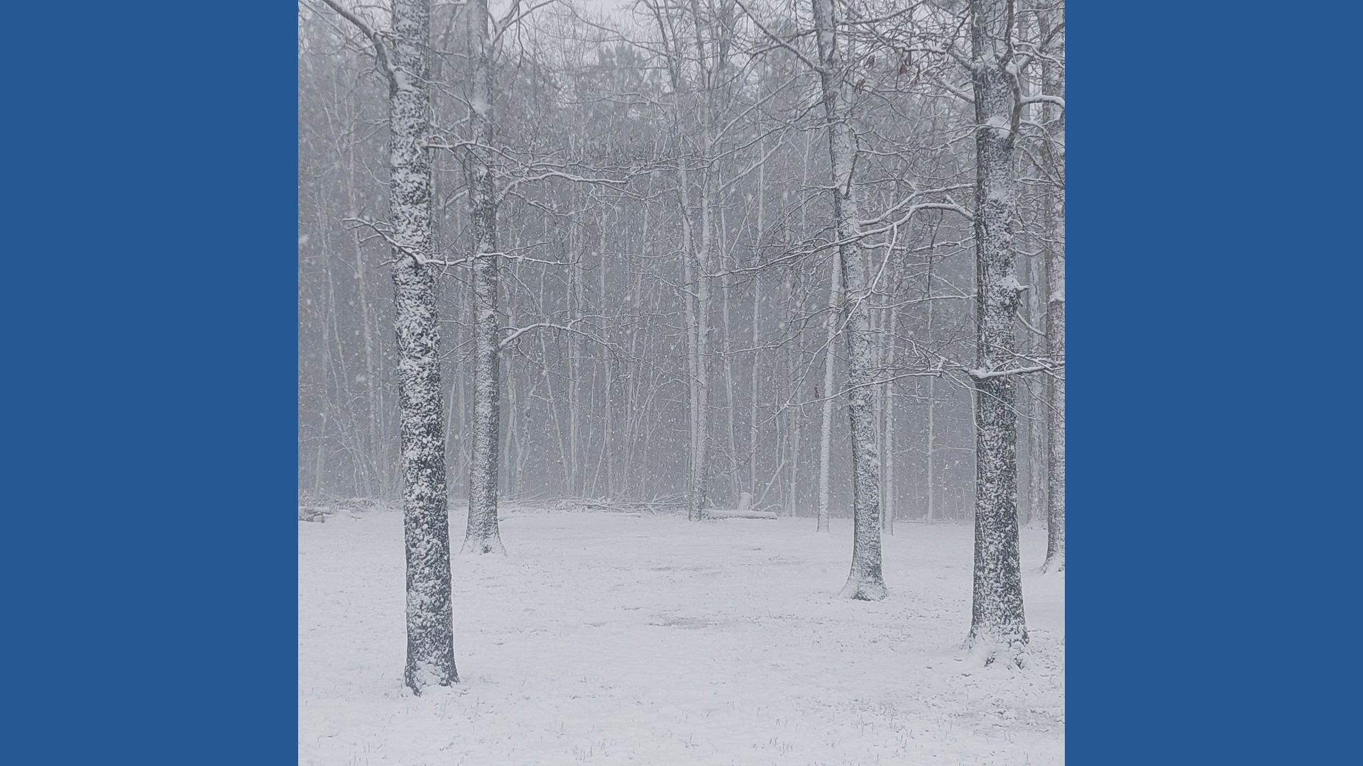 Snow Day in North Alabama | March 16, 2026 | rocketcitynow.com