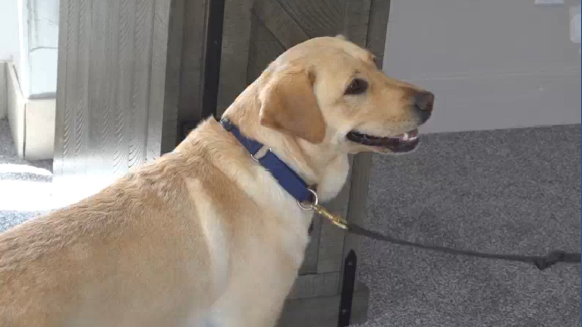 ATF Special Agent David Wiley and K-9 Derby | rocketcitynow.com