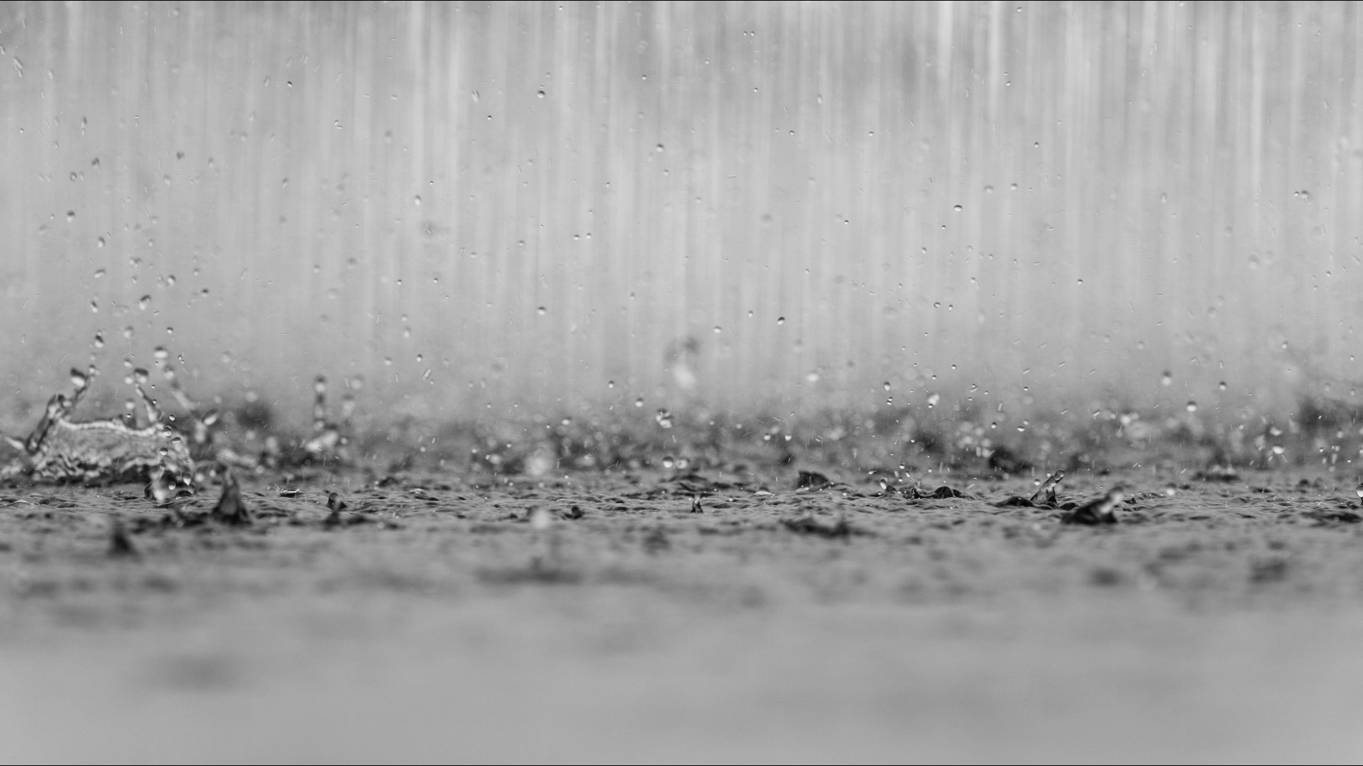 Central Iowa rainfall totals Friday afternoon into Saturday | weareiowa.com