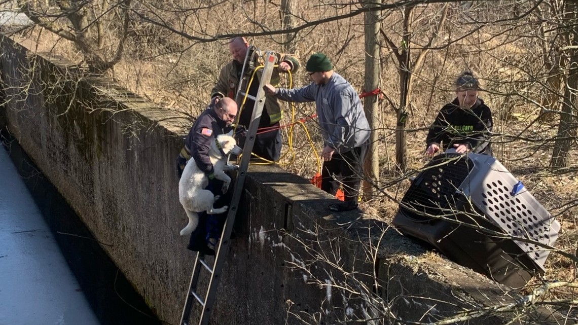 Firefighters rescue trapped dog in Muskegon Heights | wthr.com