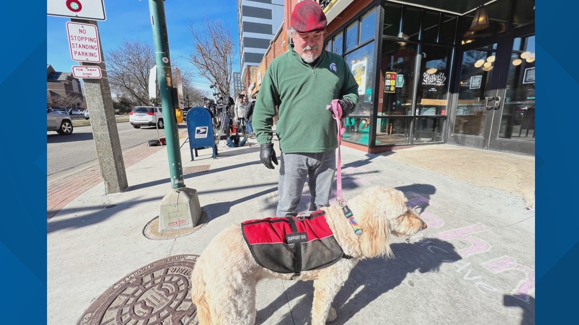 MSU alum brings comfort dog to campus to help healing students ...